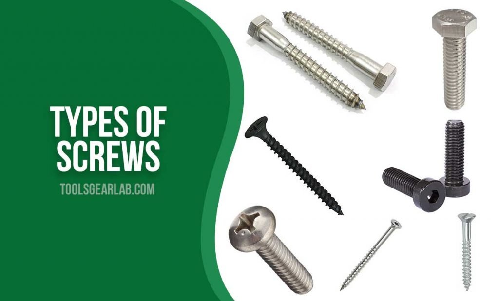 36 Different Types Of Screws & Their Uses (With Pictures) - ToolsGearLab