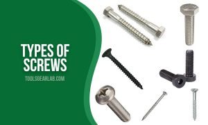36 Different Types Of Screws & Their Uses (With Pictures) - ToolsGearLab