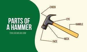 Parts Of A Hammer - With Detailed Diagram Picture - ToolsGearLab