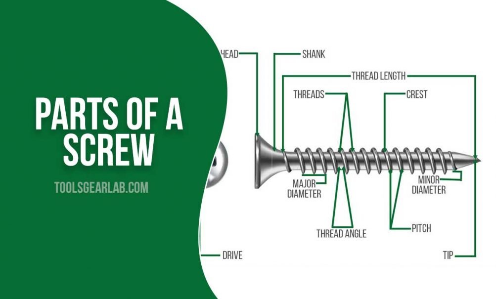 Parts Of A Screw - With Detailed Diagram Picture - ToolsGearLab