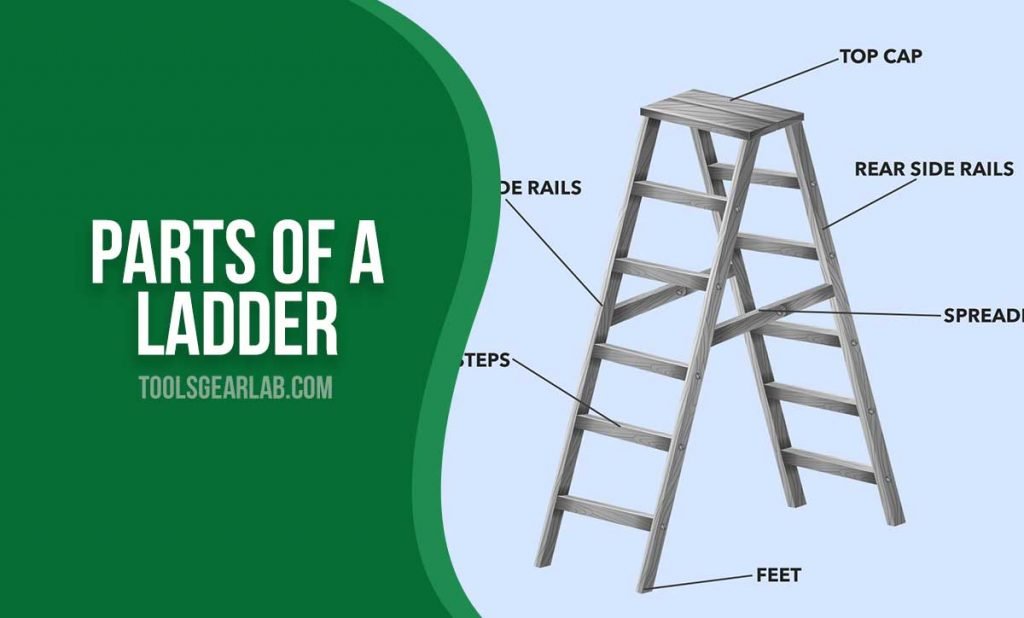 Parts Of A Ladder - With Detailed Diagram Picture - ToolsGearLab