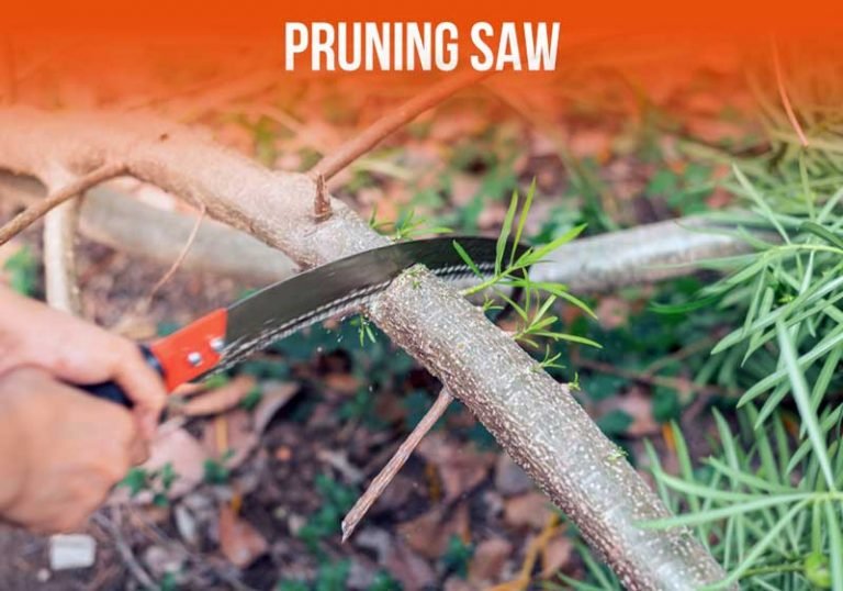 15 Different Types Of Wood Cutting Tools & Their Uses (With Pictures ...