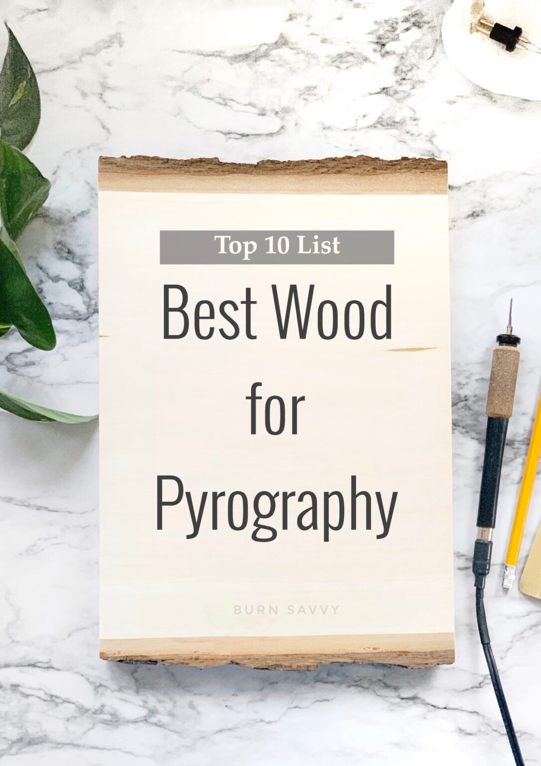 Best Wood For Pyrography: Top Choices for Artists - ToolsGearLab